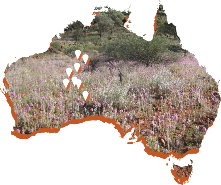Locations - Ngaanyatjarra Lands School